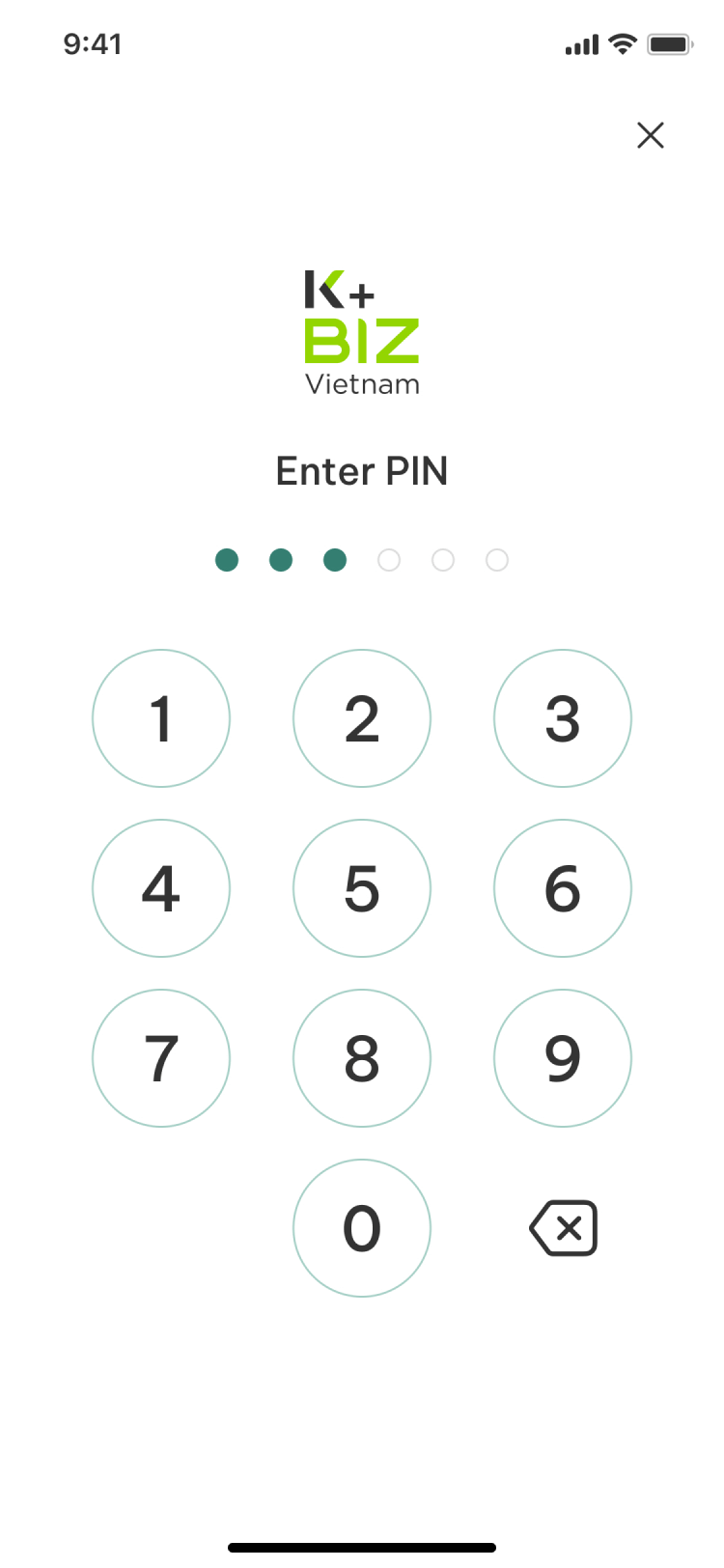 K PLUS BIZ Vietnam - POS Payment Summary Report